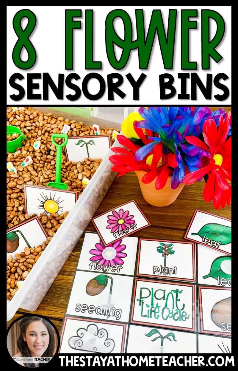 8 Fun Flower Sensory Bin Activities for Preschool Children - The Stay ...