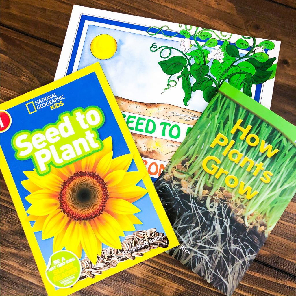 Flower Themed Books and Activities for Little Learners - The Stay-at ...
