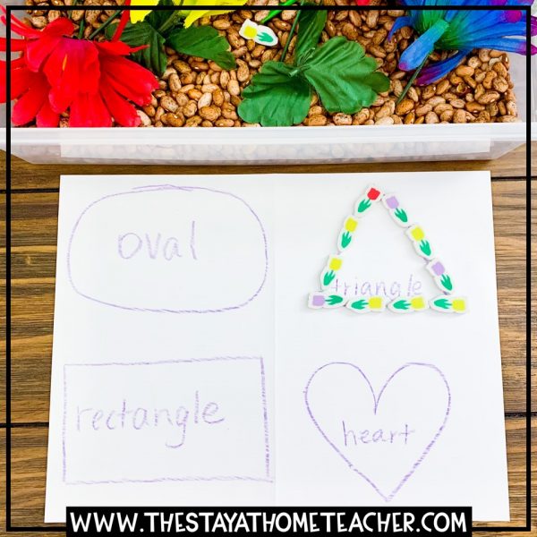 8 Fun Flower Sensory Bin Activities for Preschool Children - The Stay ...