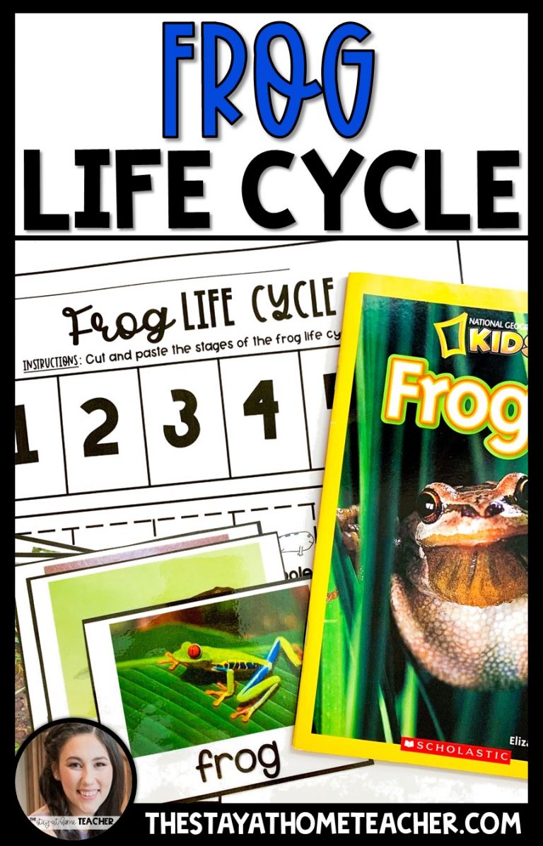 Pond Books and Activities for Little Learners - The Stay-at-Home Teacher