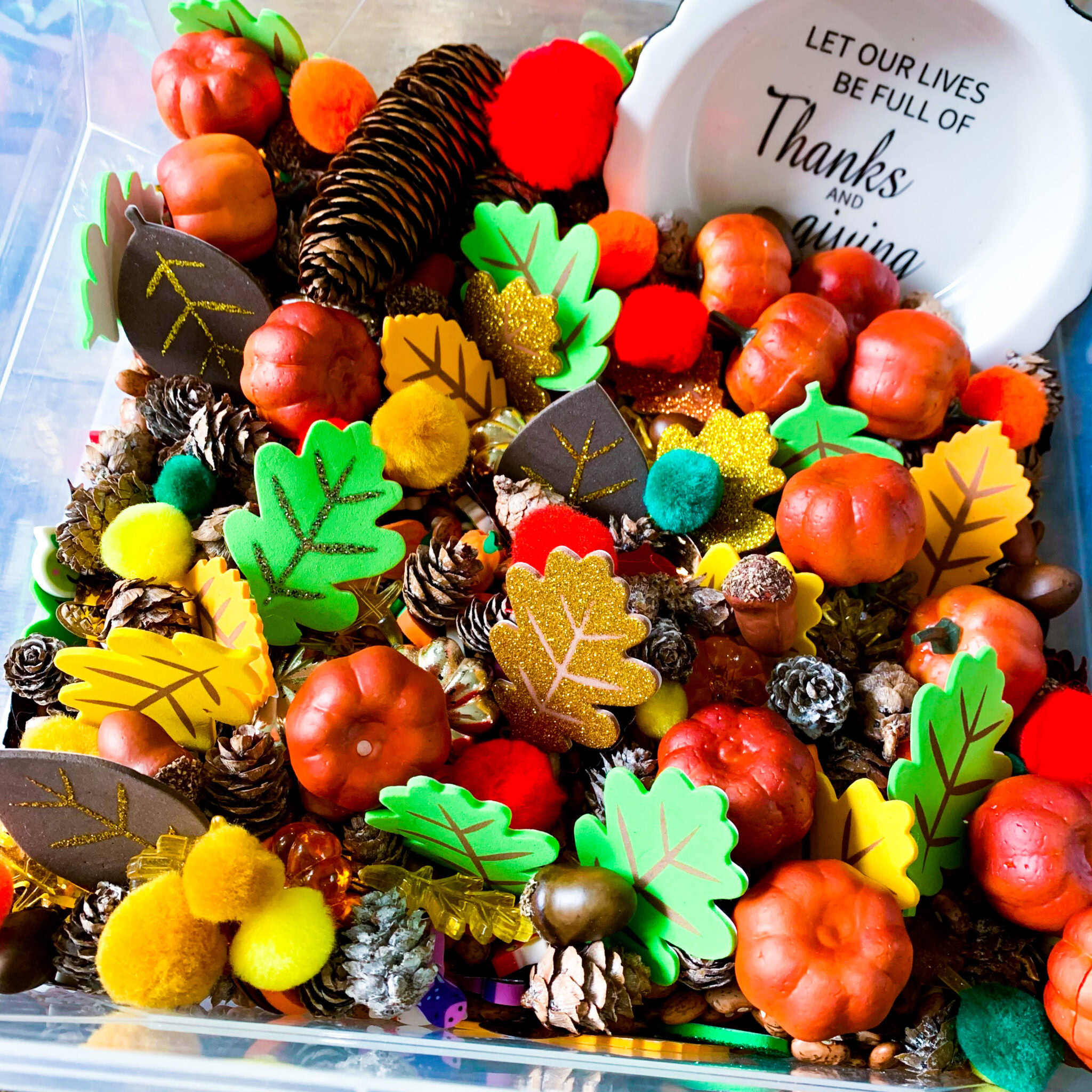 5+ Fun Thanksgiving Sensory Bins for Preschool Children - The Stay-at ...