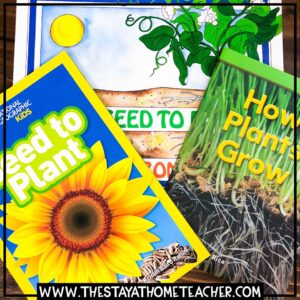 Books All About Spring for Little Learners - The Stay-at-Home Teacher