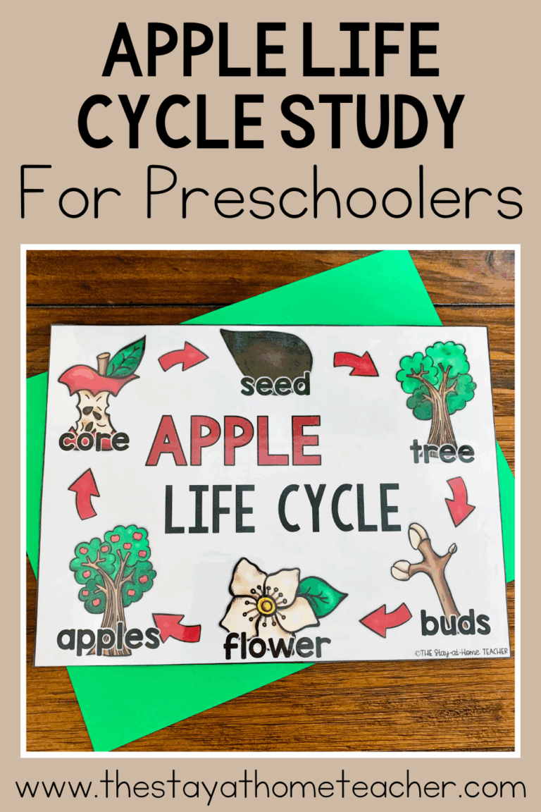 10+ Fun Fall Activities for Preschool Children - The Stay-at-Home Teacher